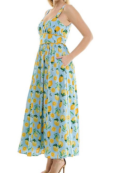 Maison Tara | Dresses | Maison Tara Light Blue Lemonprint Maxi Dress ...
